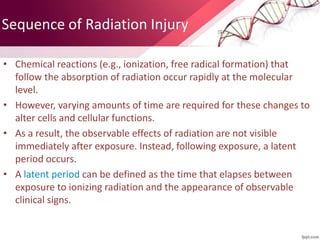 Radiation biology | PPTX