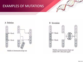 Radiation biology | PPTX