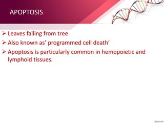 Radiation biology | PPTX