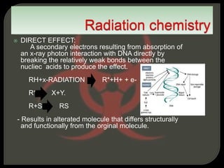 Radiation biology | PPTX