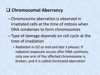 Radiation biology | PPTX