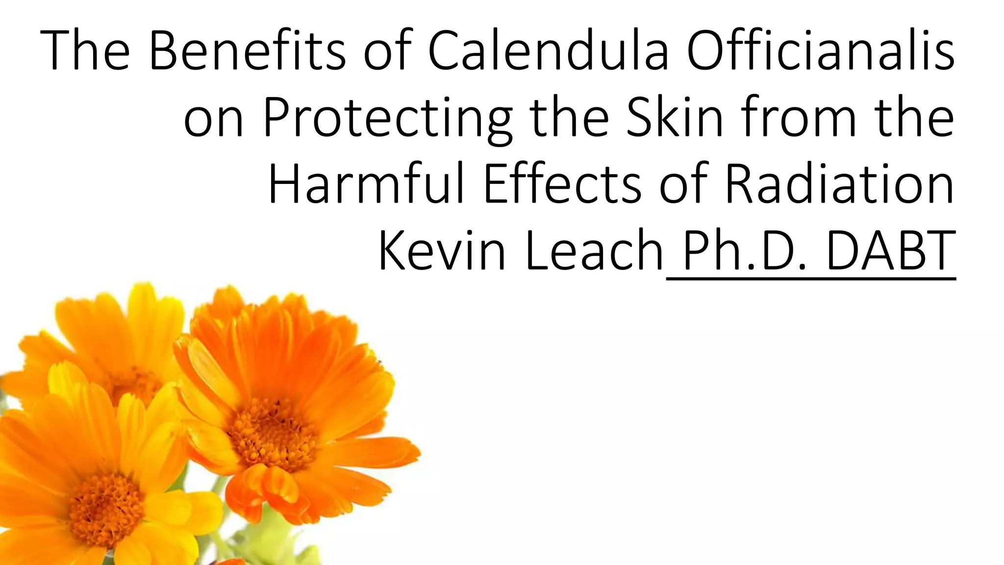The Benefits of Calendula Officinalis on Protecting the Skin from the ...