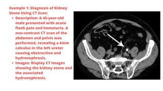 Radiation Diagnostics in Urology and Nephrology.pdf