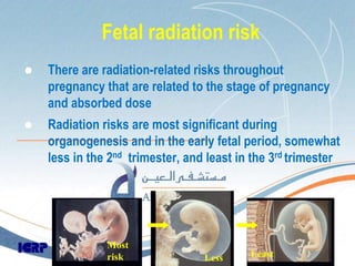 Radiation dose and pregnancy | PPTX