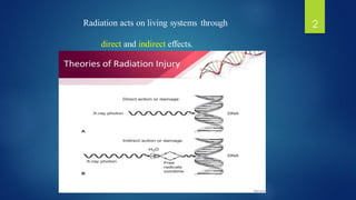 Radiation dose and risk.pdf--------------- | PDF