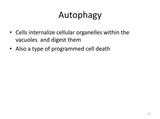 Radiation effect on cell | PPTX | Biological Sciences | Science