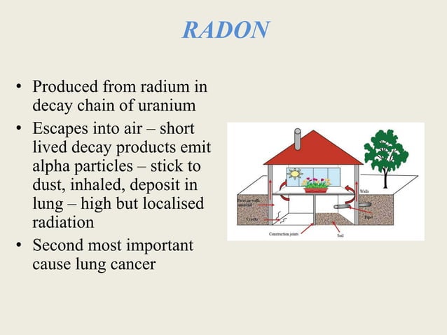 Ppt. on Radiation Hazards by Dr. Brajesh K. Ben | PPTX
