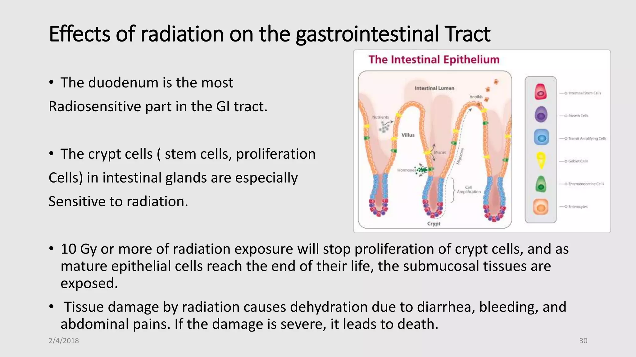 Radiation hazard and protection | PPTX