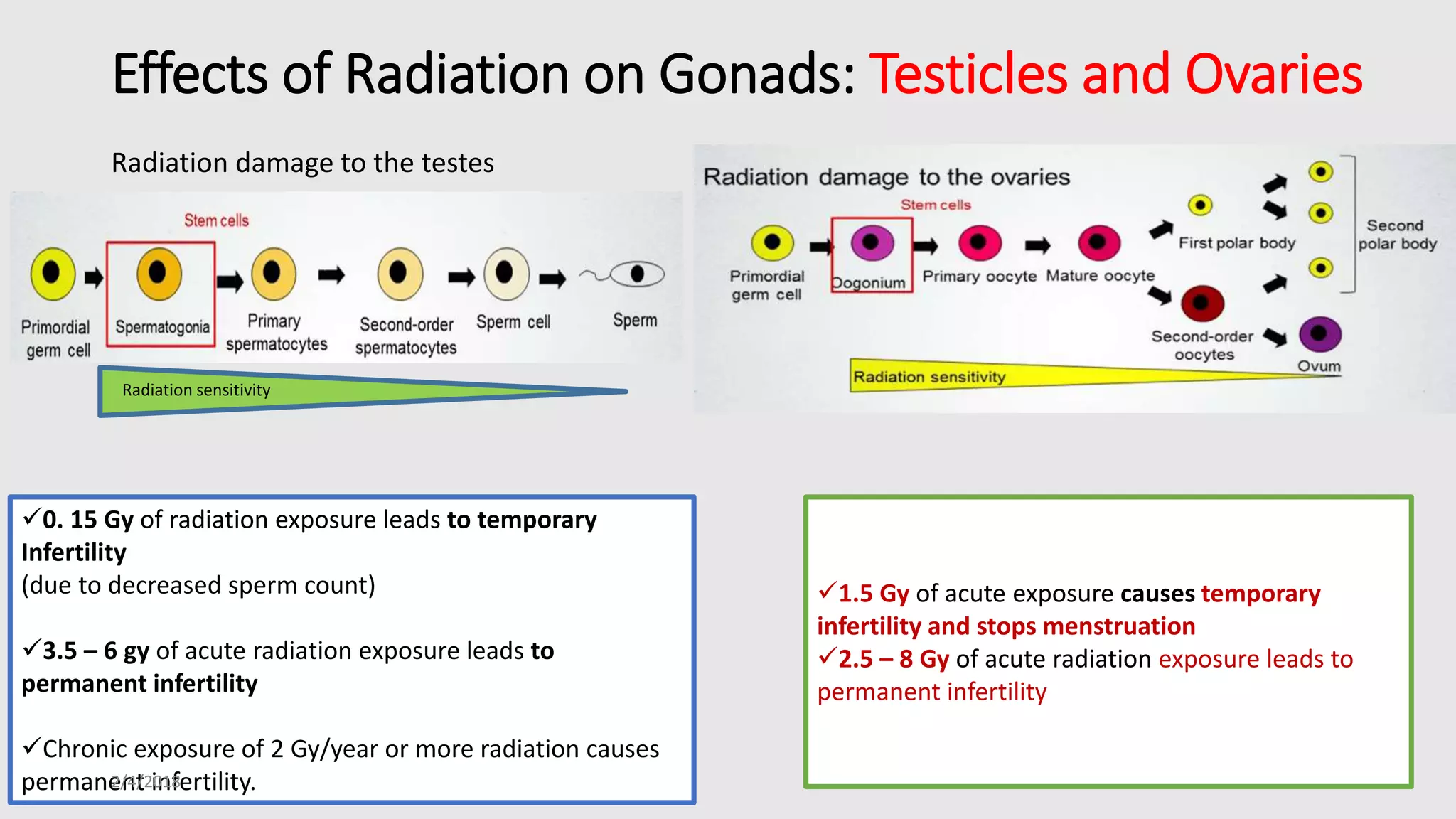 Radiation hazard and protection | PPTX