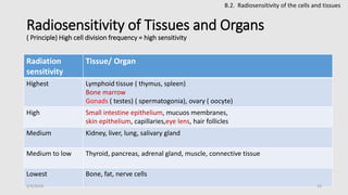 Radiation hazard and protection | PPTX