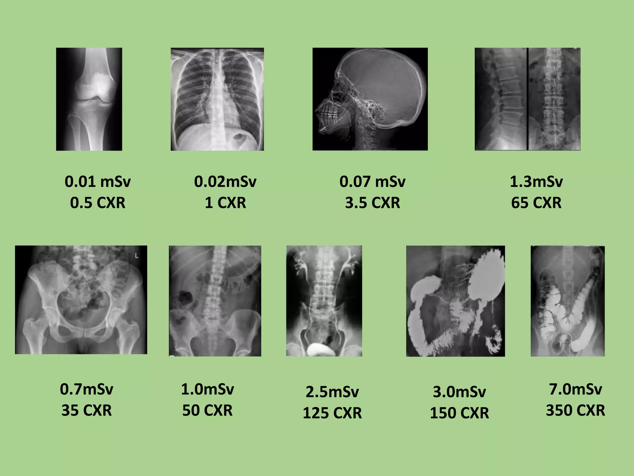 Radiation hazard and radiation protection | PPTX