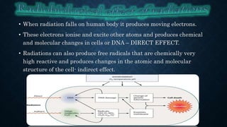Radiation hazards and protections Amrita-1.pptx