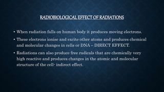 Radiation hazards and protections Amrita.pptx