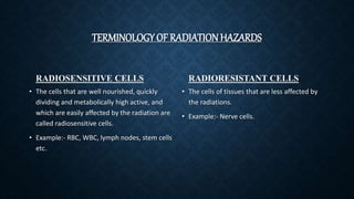 Radiation hazards and protections Amrita.pptx