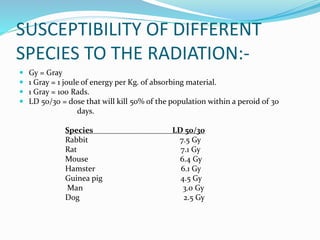 Radiation hazards and safety (veterinary) | PPTX
