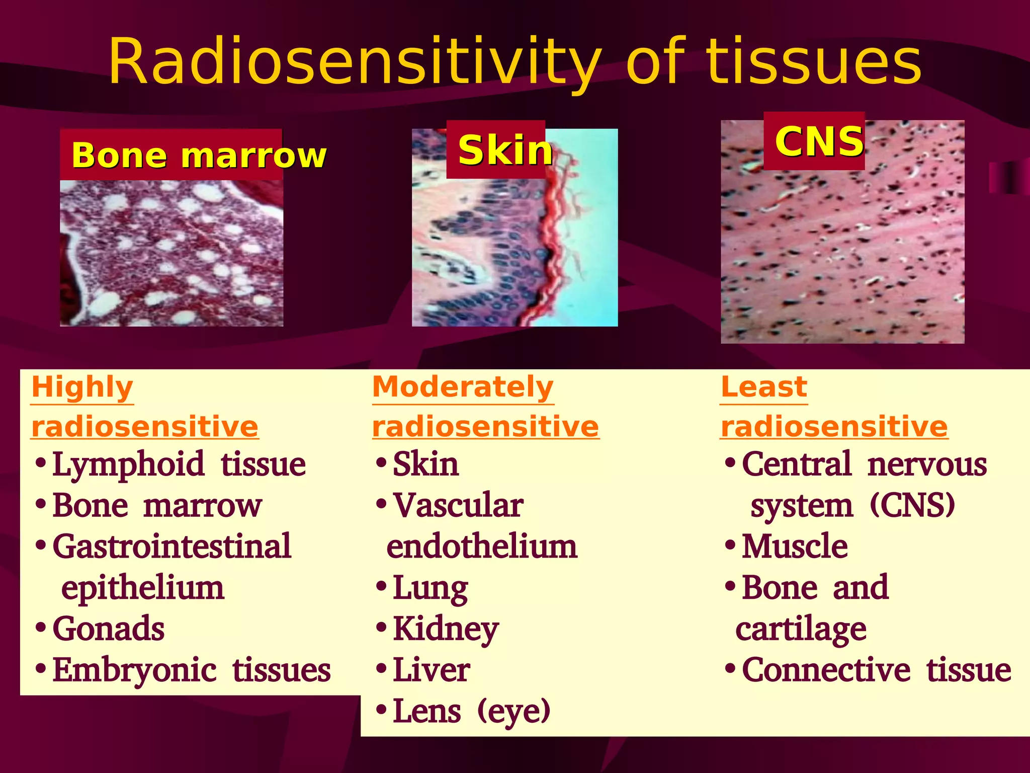 Biological effects of radiations | PDF