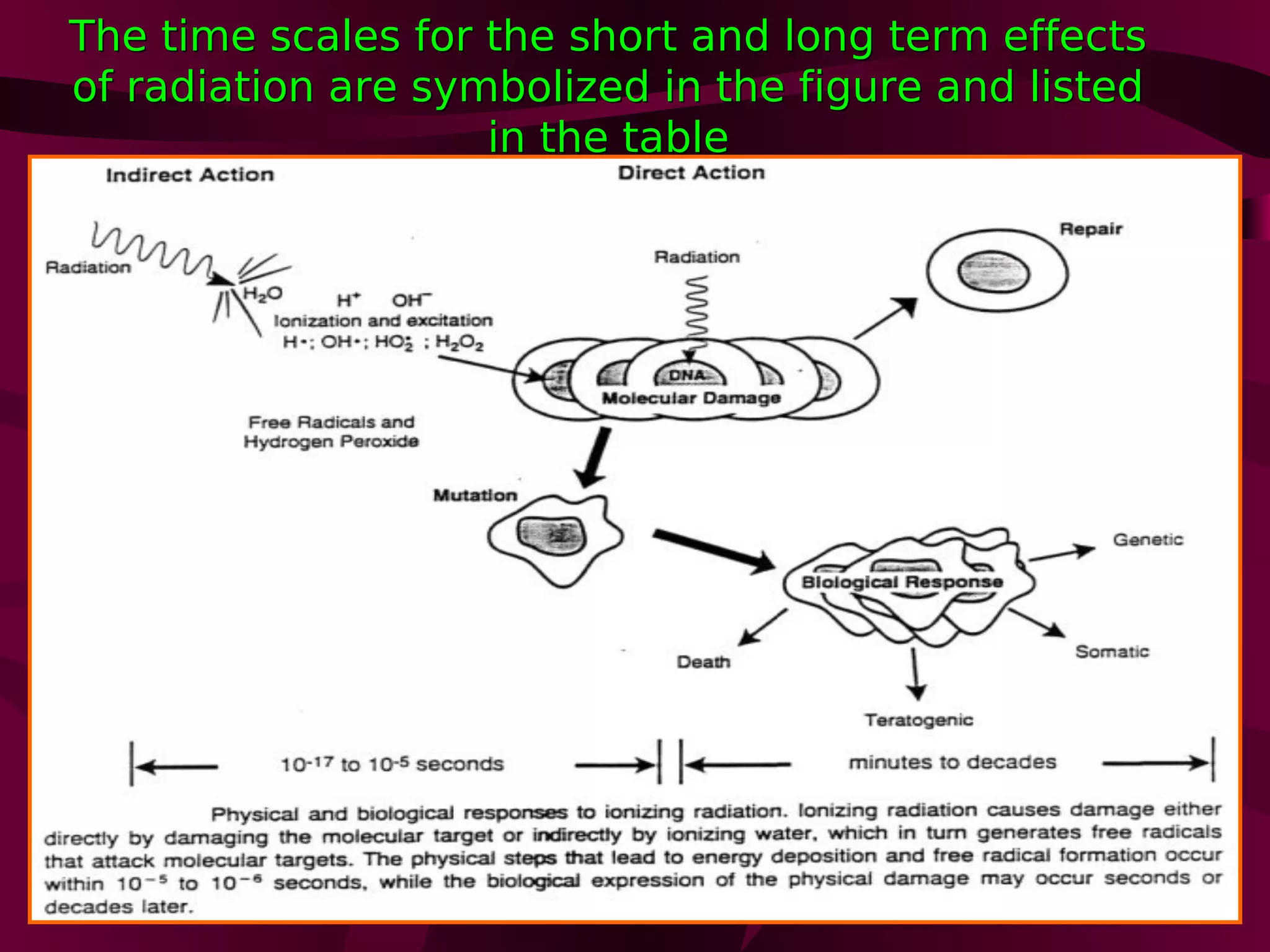 Biological effects of radiations | PDF
