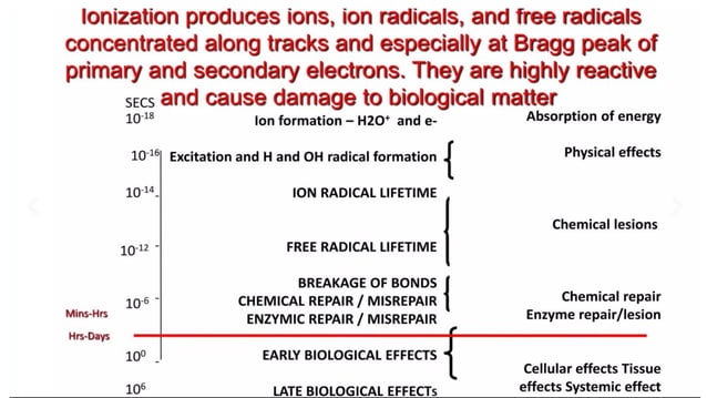 basics of Radiation and microbiology.pptx