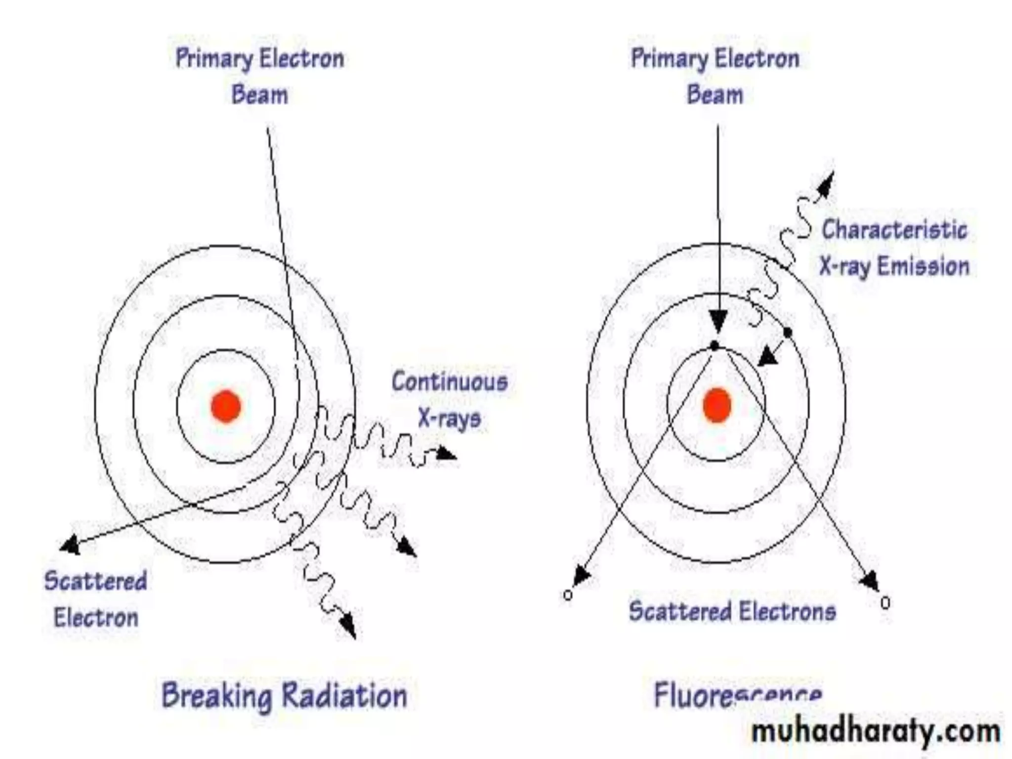 Radiation physics | PPTX