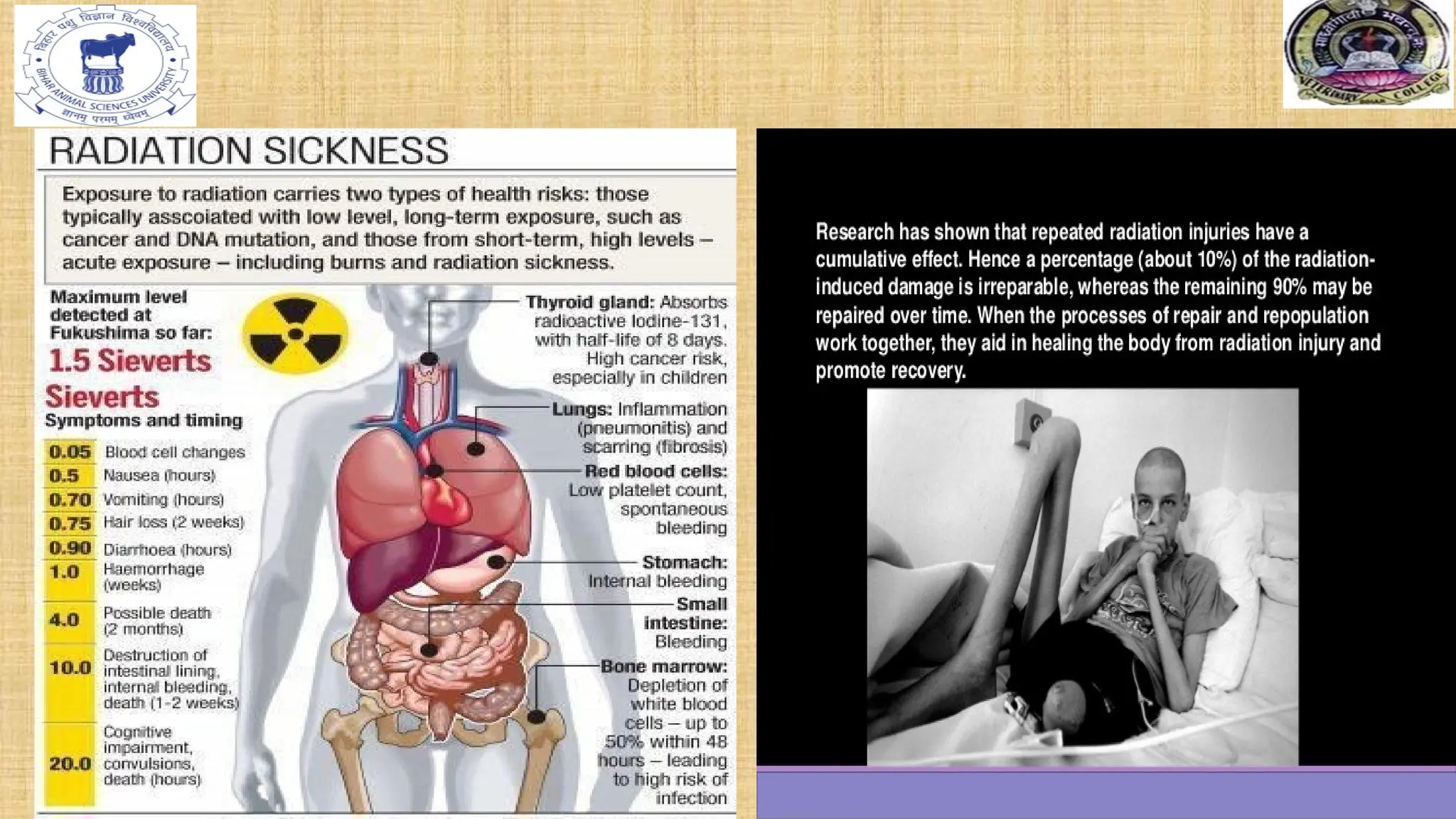 Radiation_Pollution. and its causes and effects | PPTX