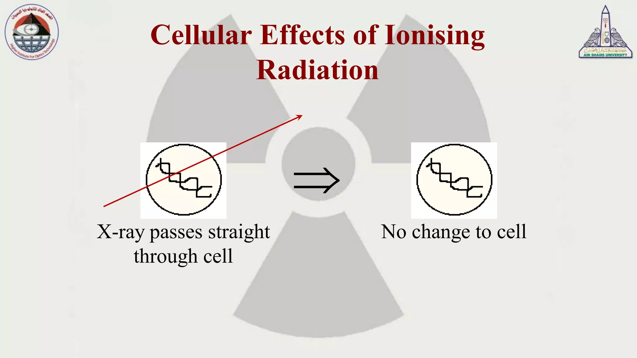 Radiation protection course for radiologists Lecture 3 | PPT