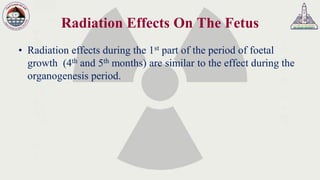Radiation protection course for radiologists L4 | PPT