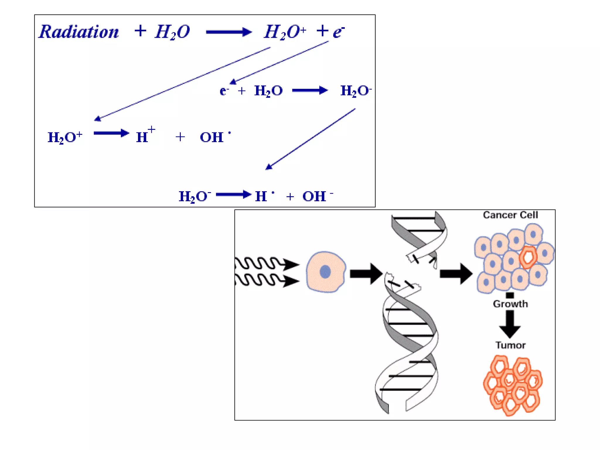 Radiation risk from medical imaging | PPT