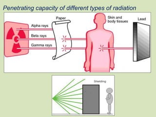 Radiation Safety In The Cath Lab | PPTX
