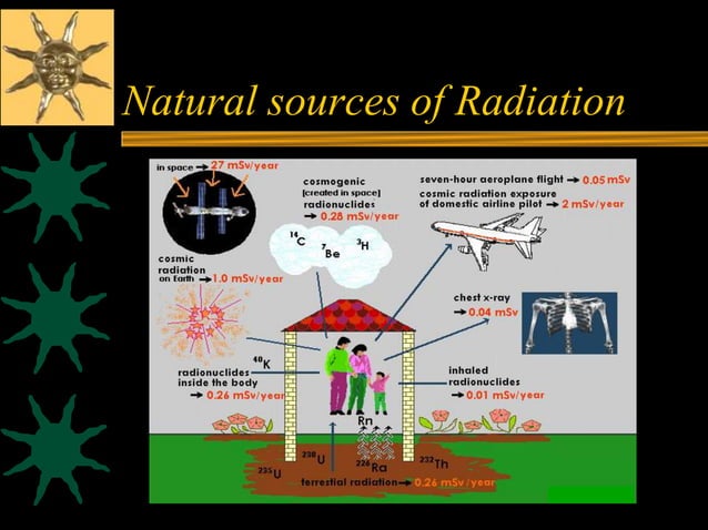 Radiation safety in diagnostic nuclear medicine | PPSX