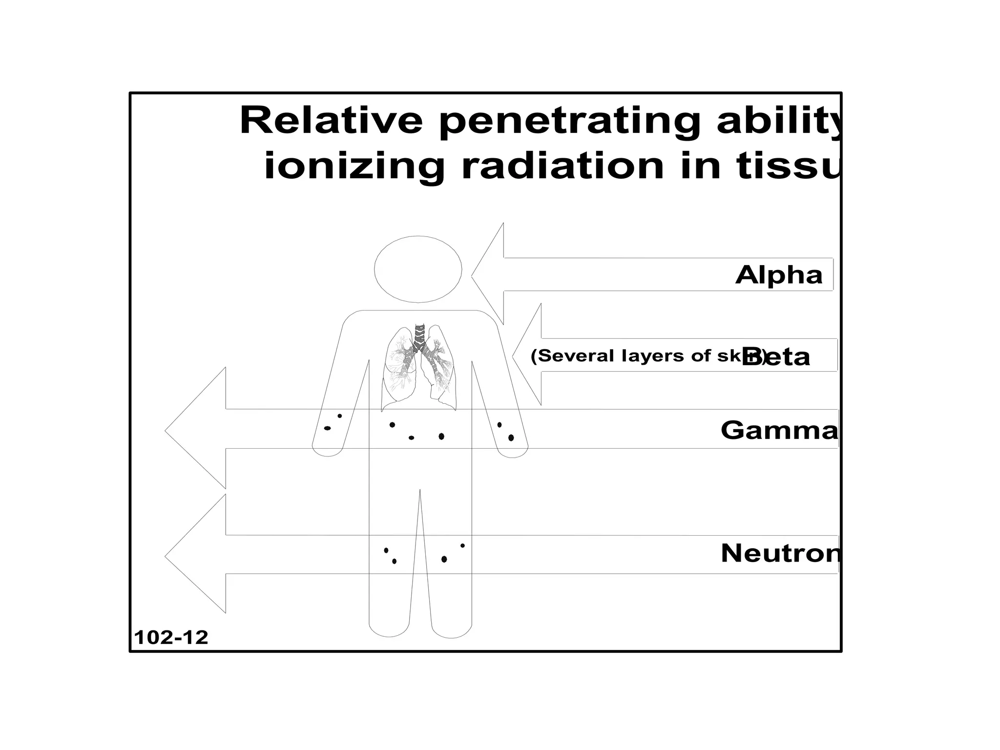 Radiation safety program | PPTX