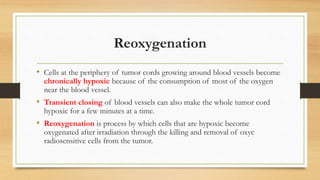 Radiation Therapy Radiobiology.pptx