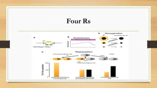 Radiation Therapy Radiobiology.pptx