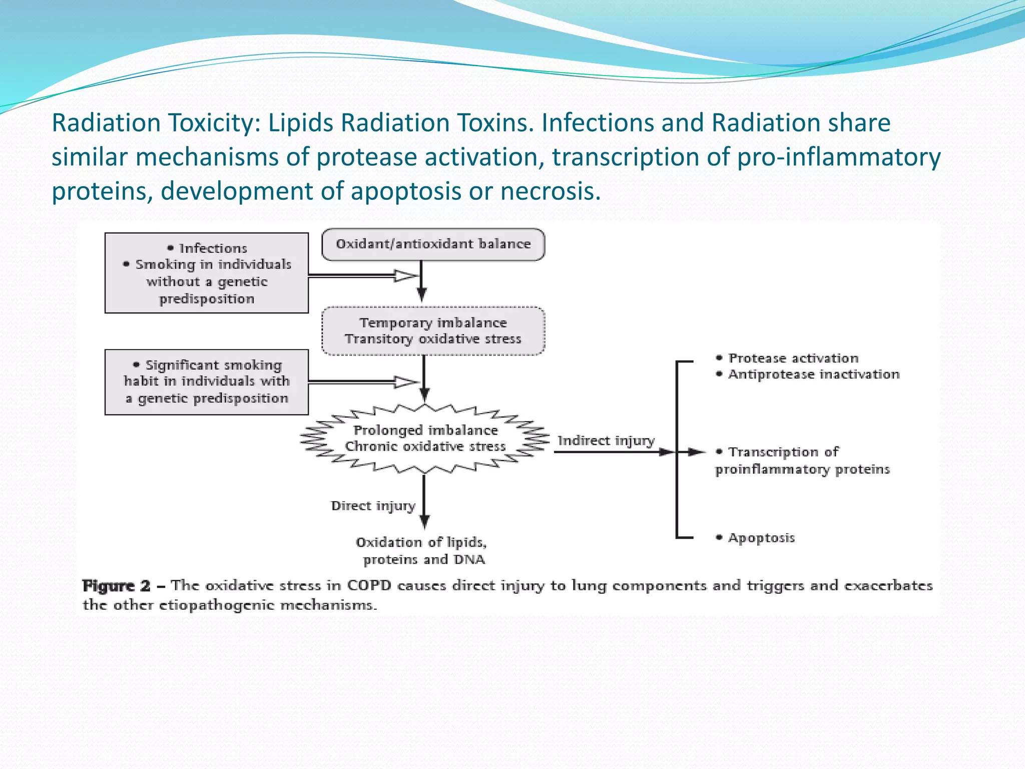 Radiation toxicity lipid's radiotoxins | PPT