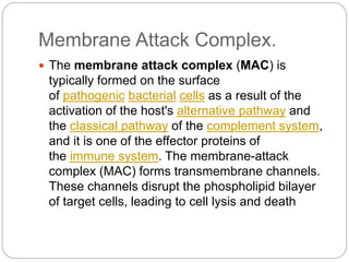 Radiation toxicity: complement system activation. | PPTX