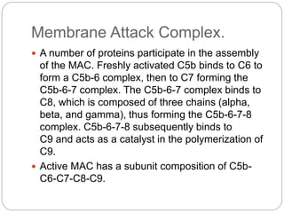 Radiation toxicity: complement system activation. | PPTX