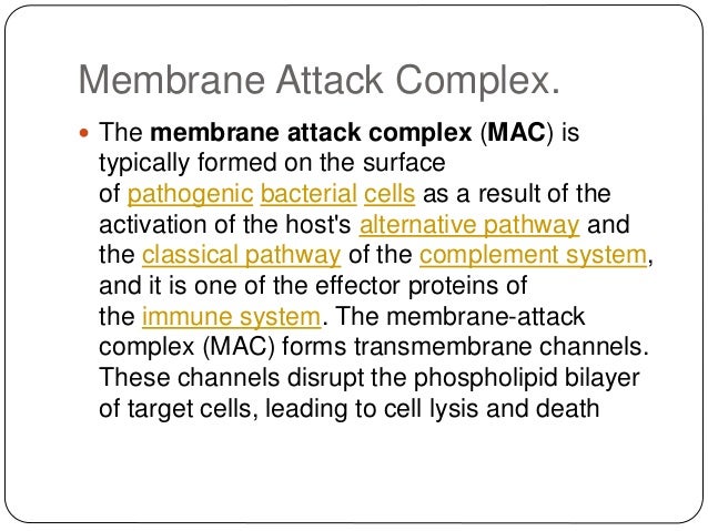 Complement Membrane Attack Slide