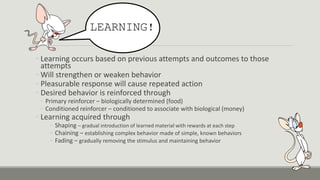 ISTC663 Chapter 2- Radical behaviorism | PPTX