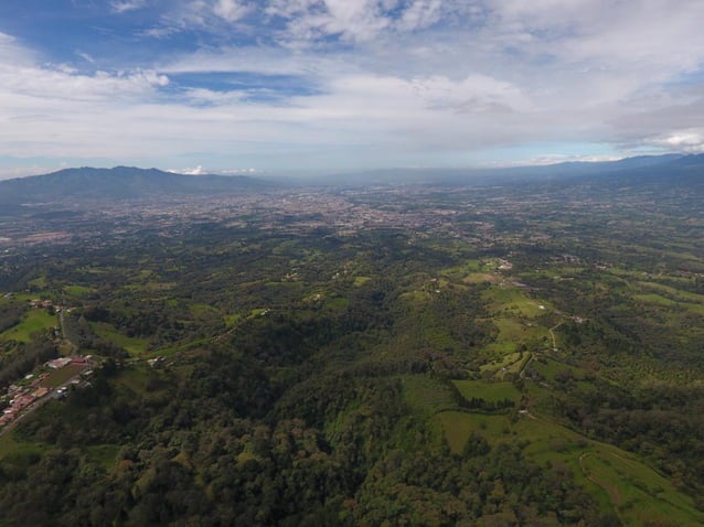 Radical Collaboration Presentation | PDF