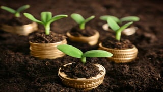 Radical Collaboration Presentation | PDF