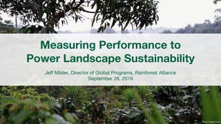 Radical Collaboration Presentation | PDF