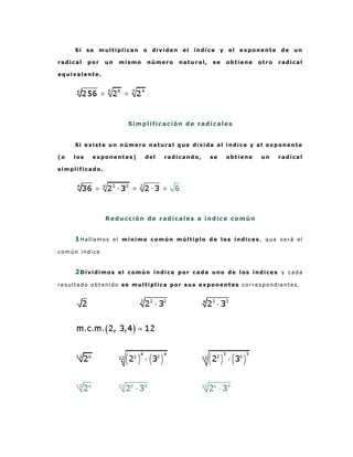 Radicales | DOCX
