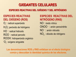 Radicales libres junior | PPT
