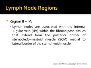 Radical neck dissection | PPT