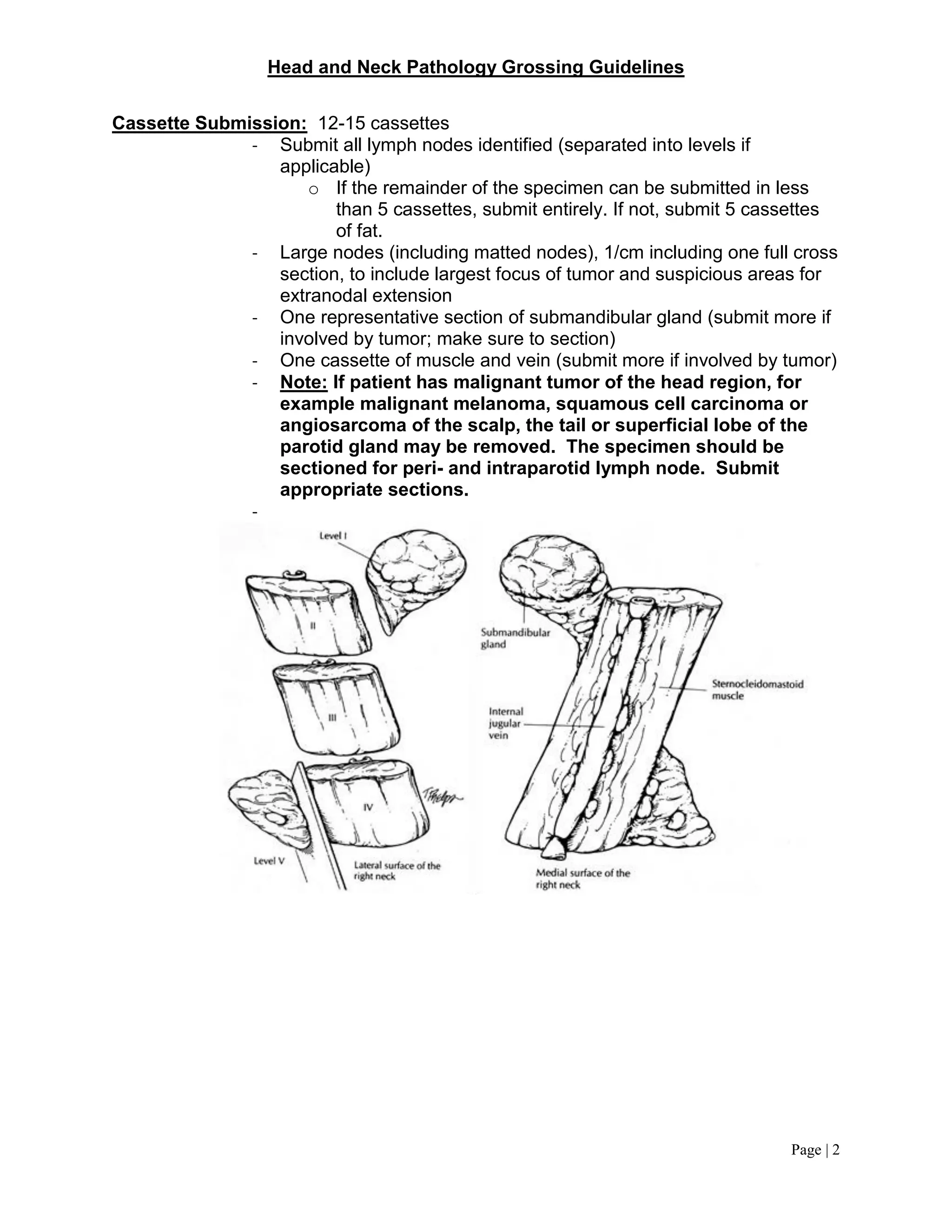 Radical neck dissection | PDF | Medical Health