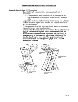 Radical neck dissection | PDF | Medical Health