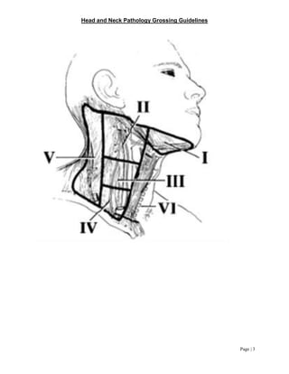 Radical neck dissection | PDF | Medical Health