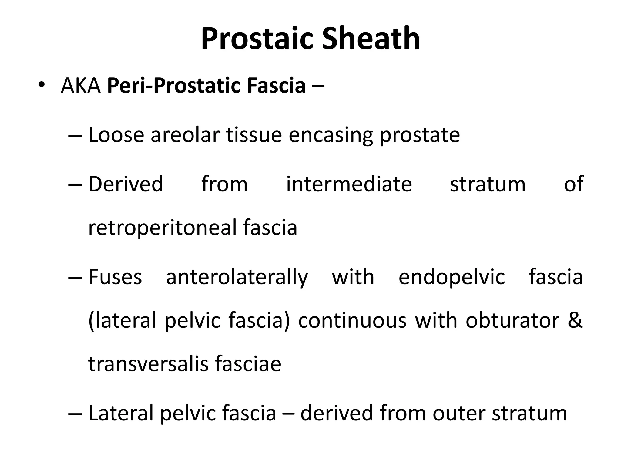 Radical prostatectomy - Surgical anatomy | PPTX