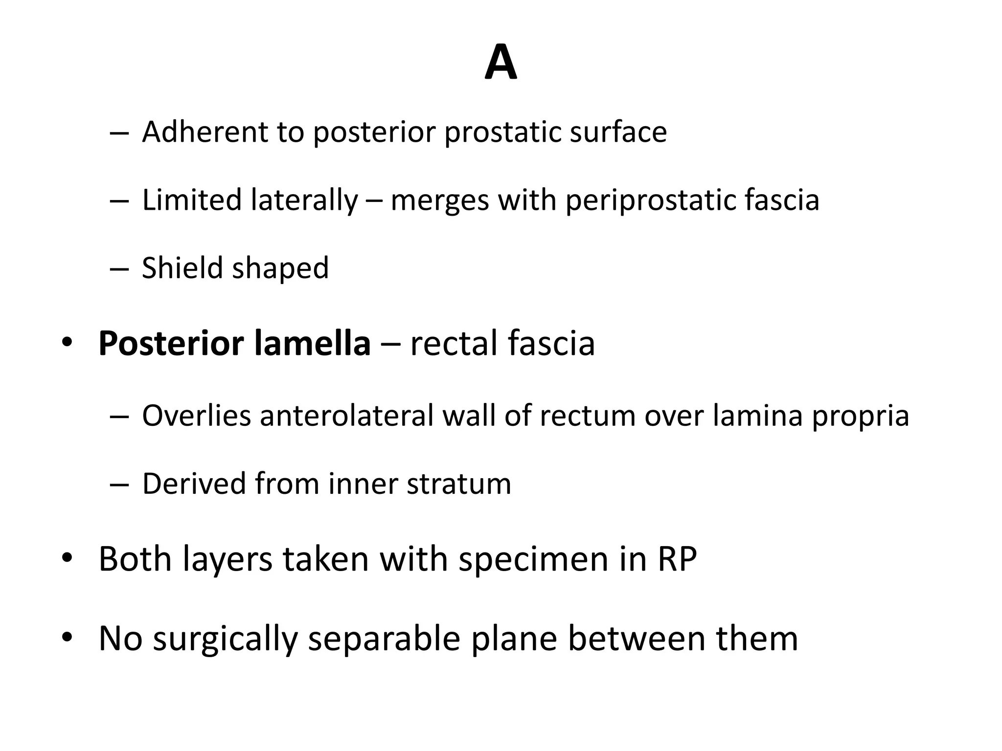 Radical prostatectomy - Surgical anatomy | PPTX