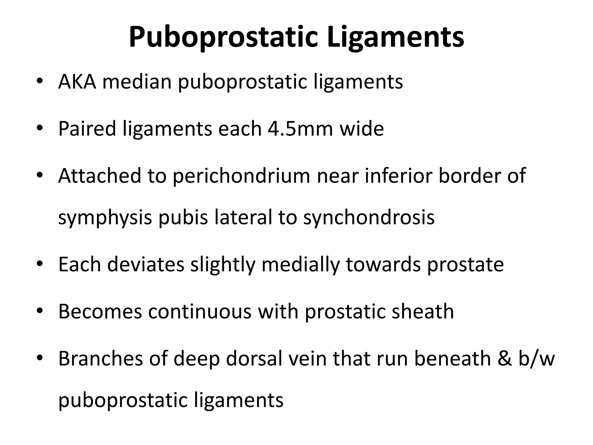 Radical prostatectomy - Surgical anatomy | PPTX