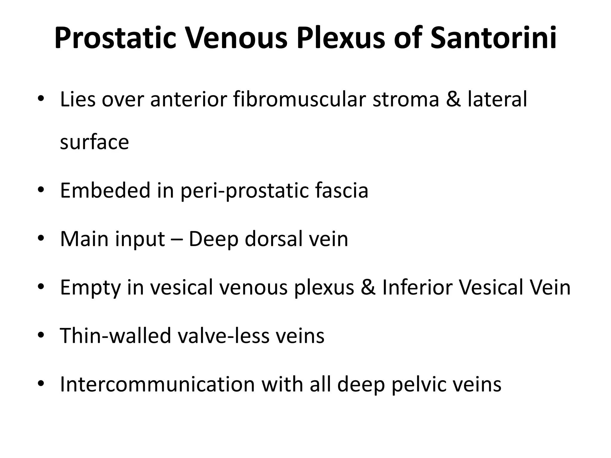Radical prostatectomy - Surgical anatomy | PPTX